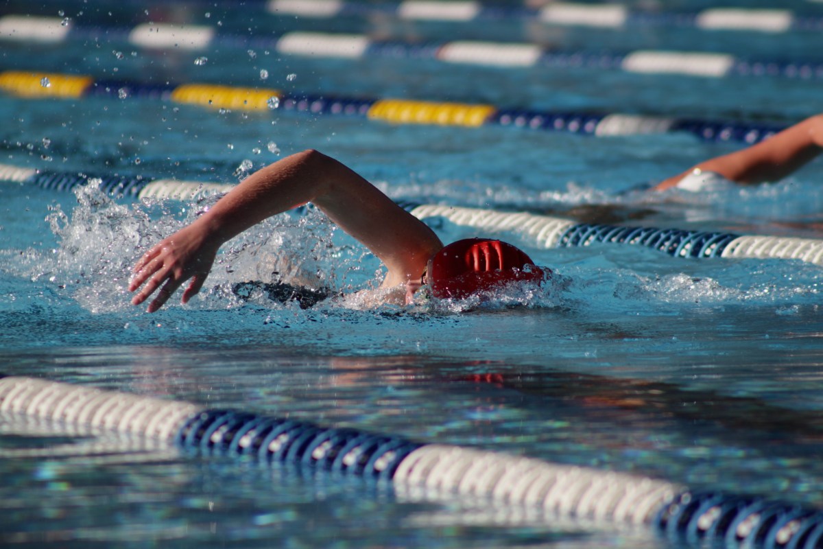 2025, Millie Bell, Ice Swimming, World Championships – Jack Bloor Race ...